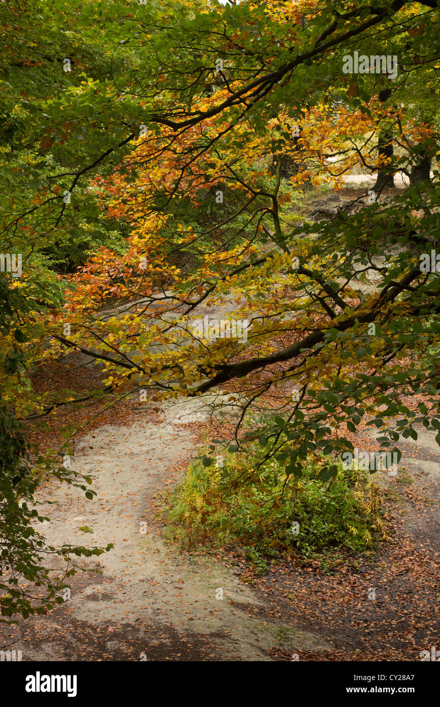 Autumn at Barton Springs, Bedfordshire Stock Photo - Alamy