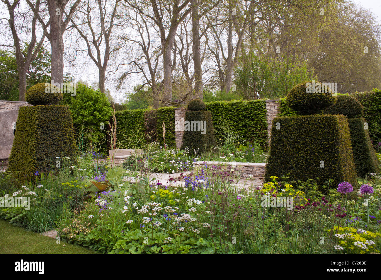 Garden modern hedges hi-res stock photography and images - Alamy