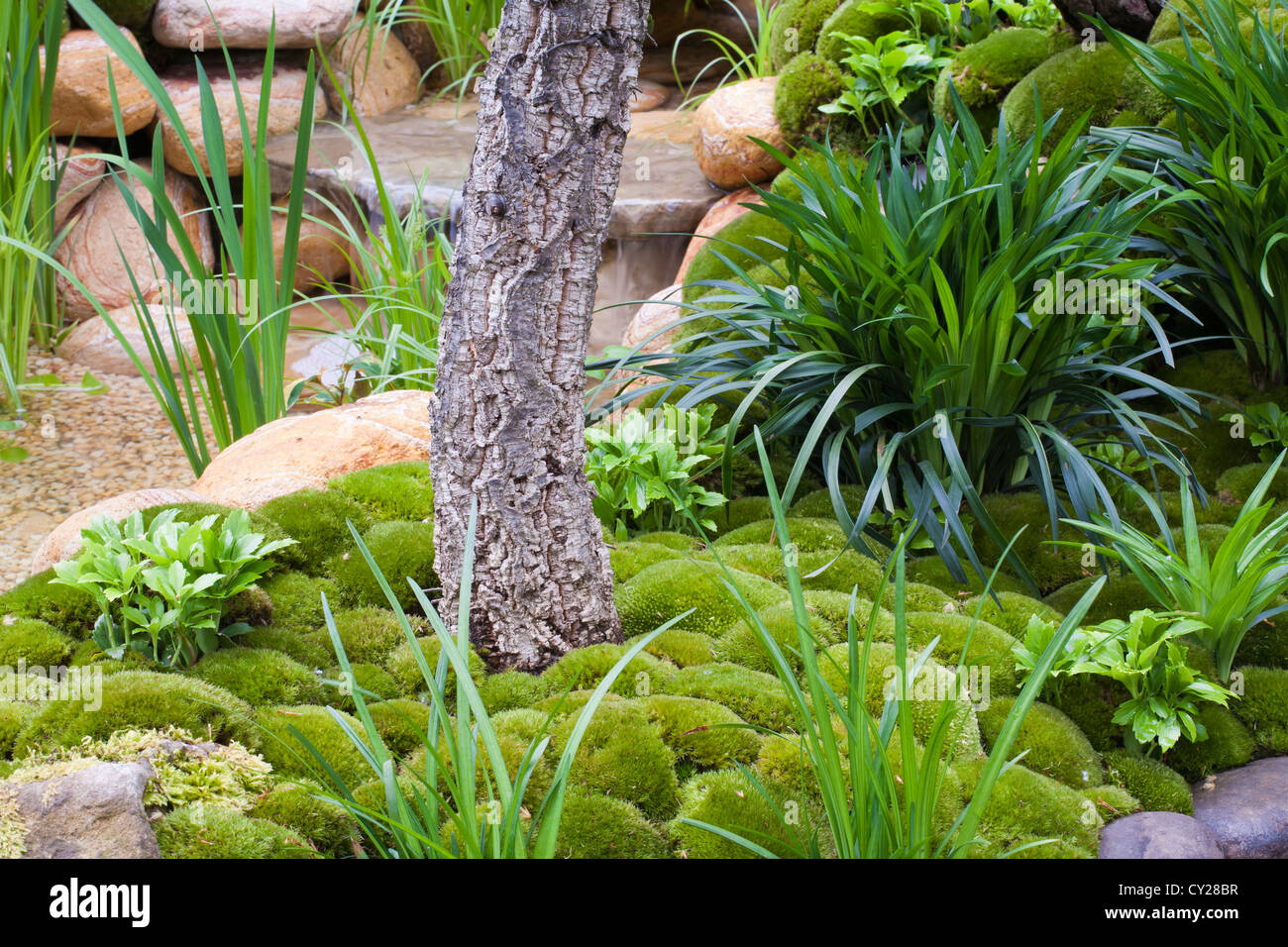 Japanese moss garden hi-res stock photography and images - Alamy