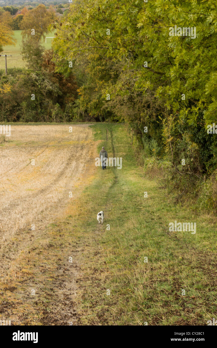 The chilterns autumn hi-res stock photography and images - Alamy