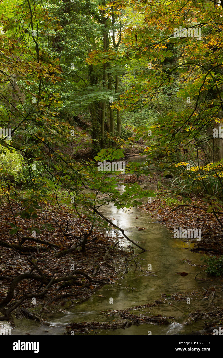Flow springs hi-res stock photography and images - Alamy