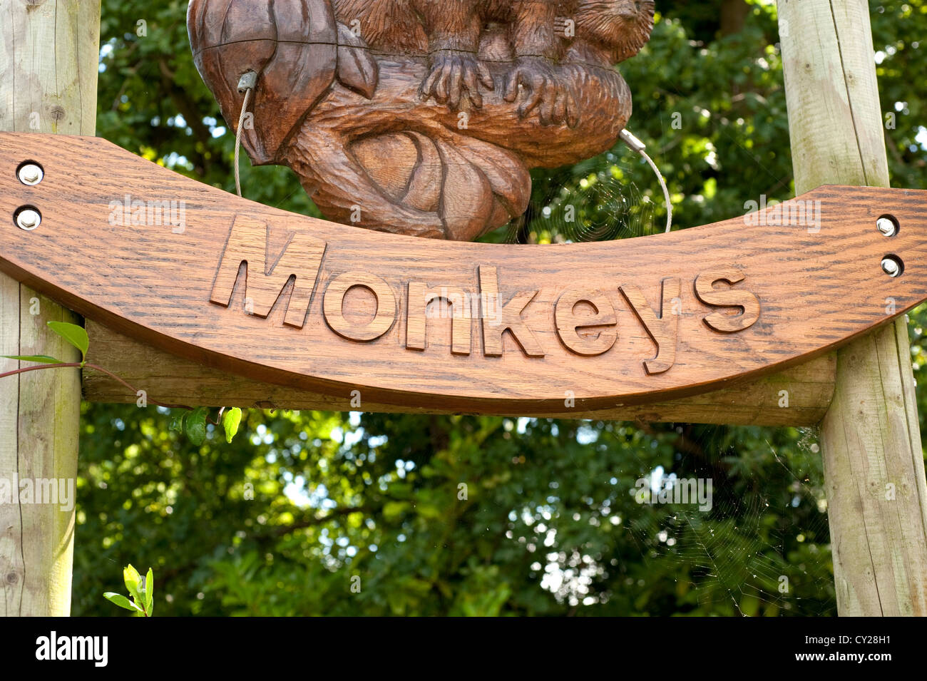 Wooden Carved Monkeys Sign Stock Photo - Alamy