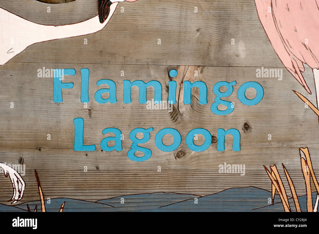 Flamingo Lagoon Wooden Sign Stock Photo - Alamy