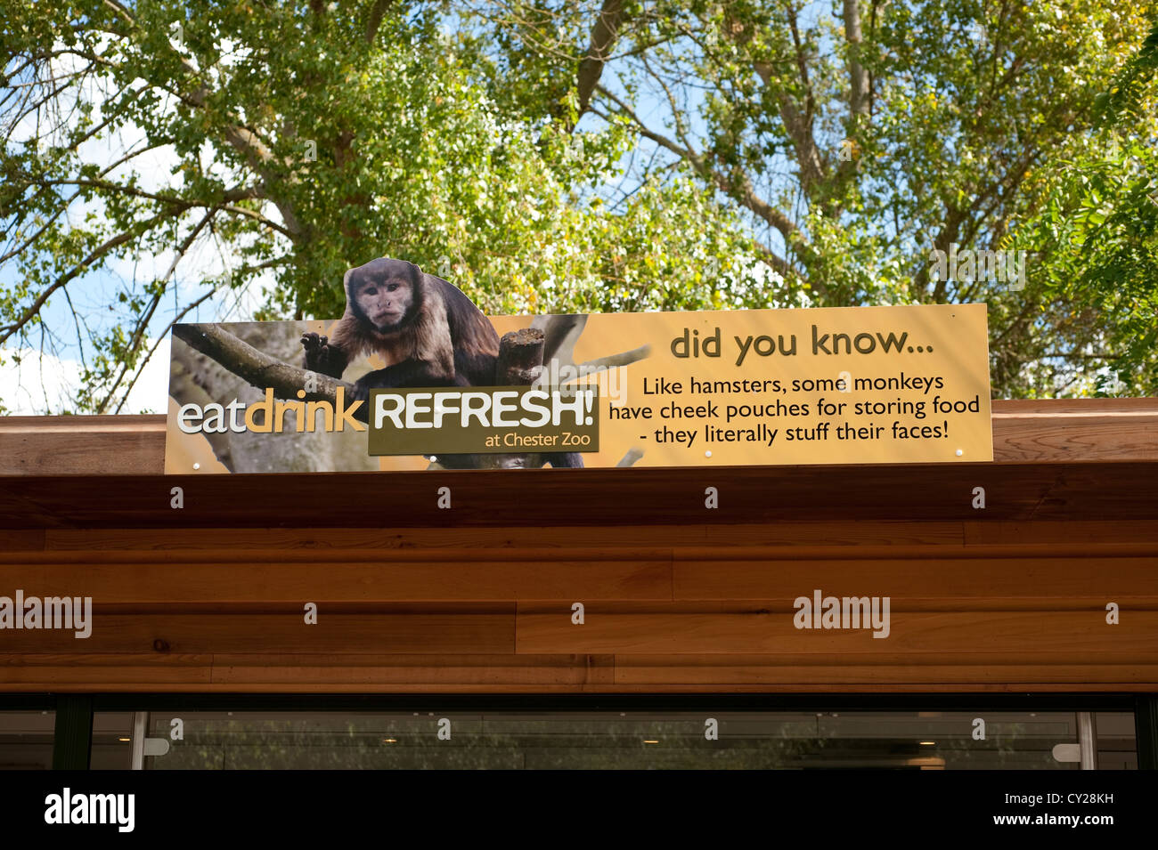 Refresh sign hi-res stock photography and images - Alamy