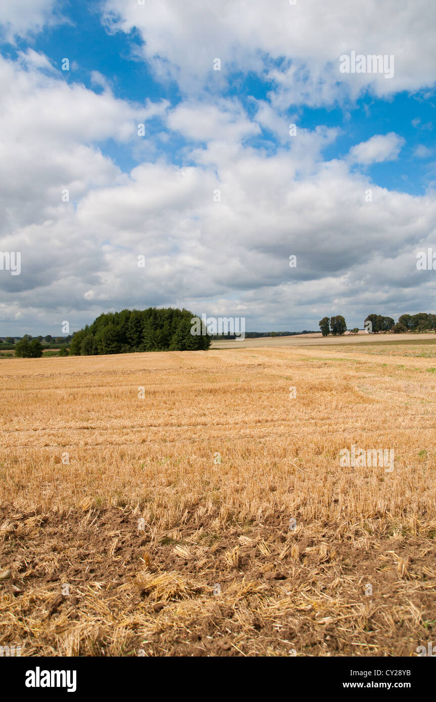 Agriculture automation hi-res stock photography and images - Alamy