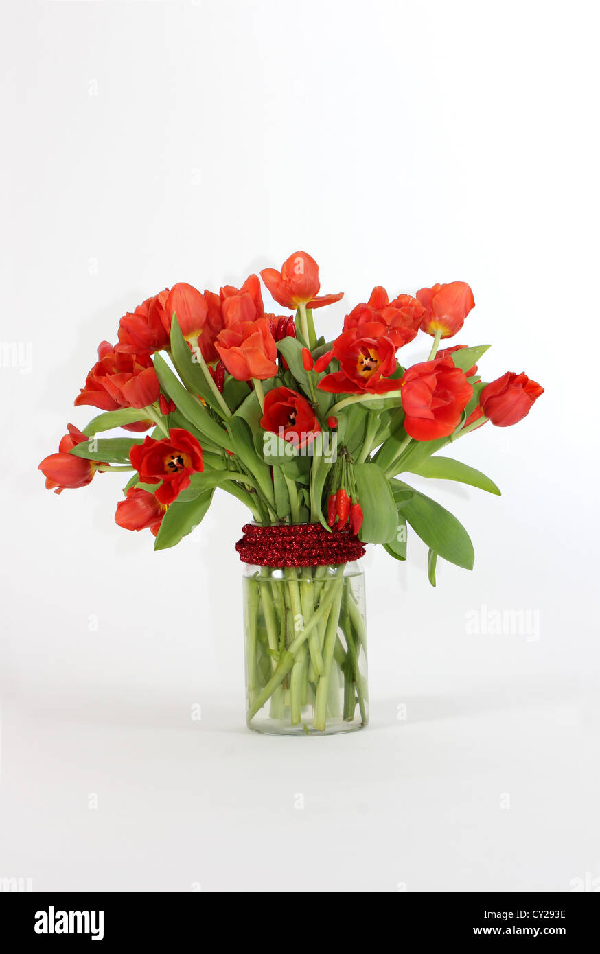 Light Red Floral Background