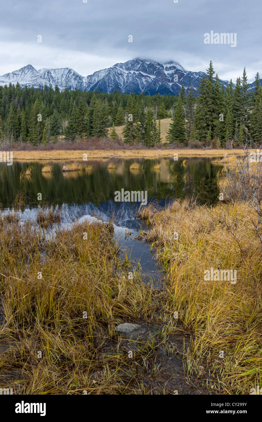 Jasper park canada hi-res stock photography and images - Alamy