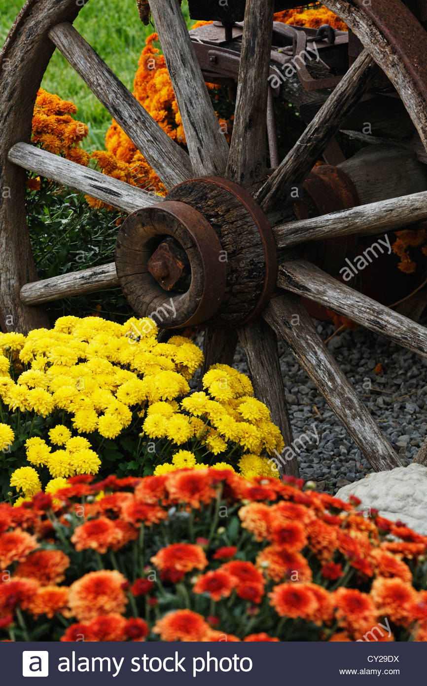 Wagon Wheel Stock Photos & Wagon Wheel Stock Images - Alamy