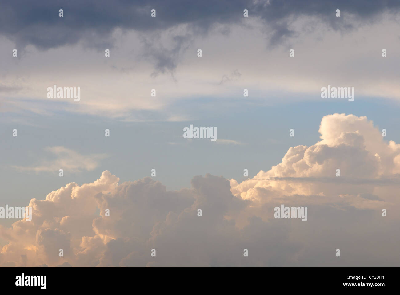 Cream colored lining hi-res stock photography and images - Alamy