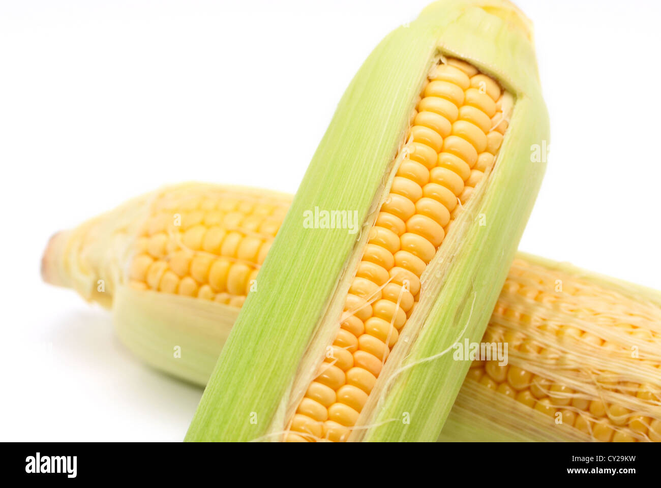 Crunchy plant hi-res stock photography and images - Alamy