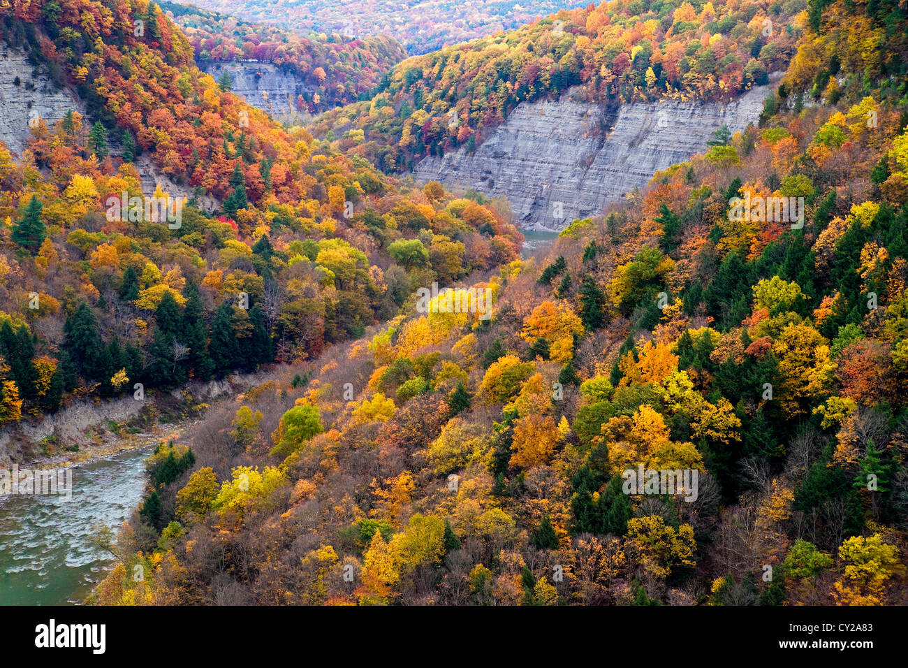 Letchworth state park, Castile, NY Stock Photo - Alamy