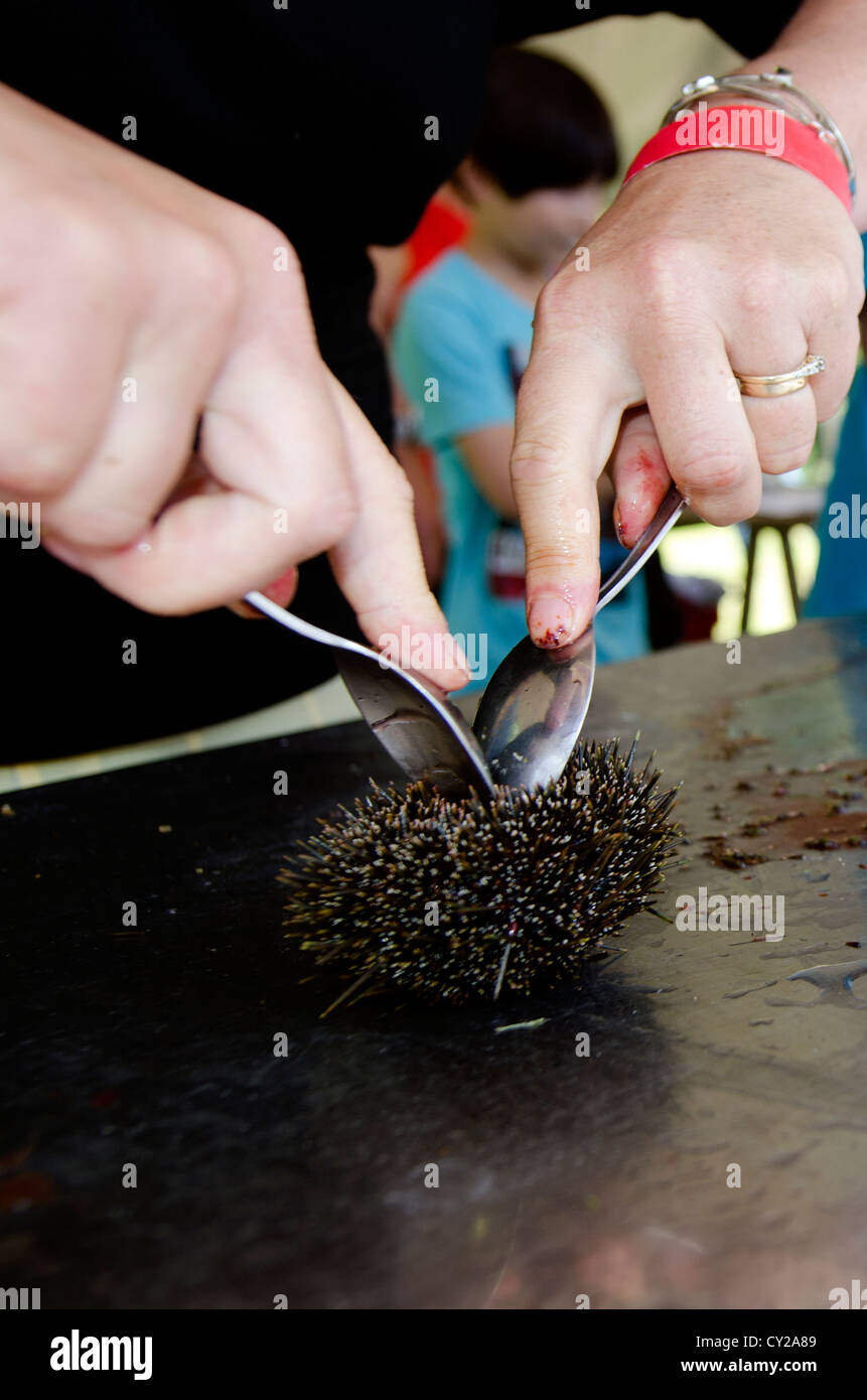 Maori Food Culture High Resolution Stock Photography and Images - Alamy