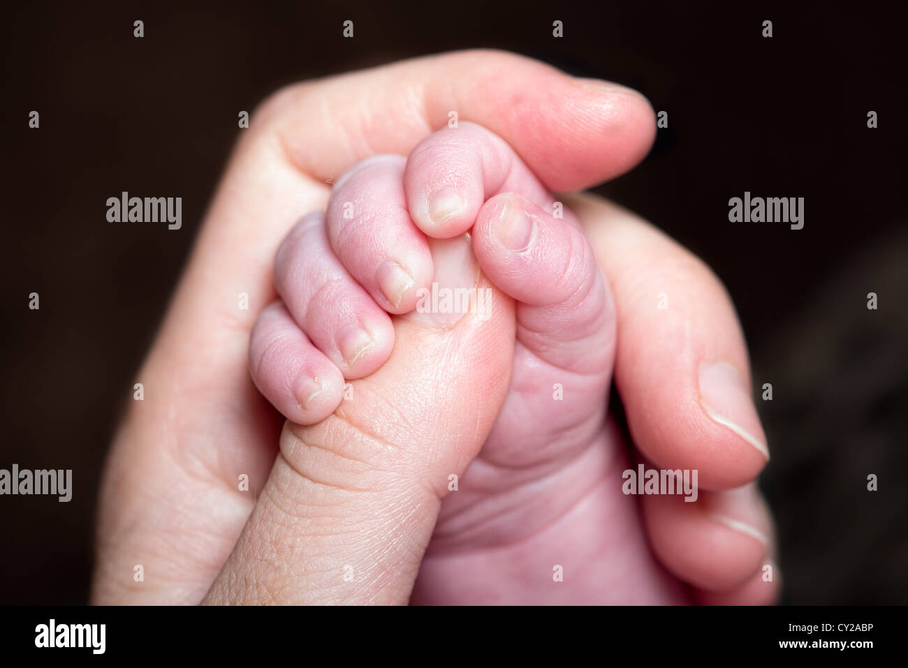 Baby hand to hand hi-res stock photography and images - Alamy
