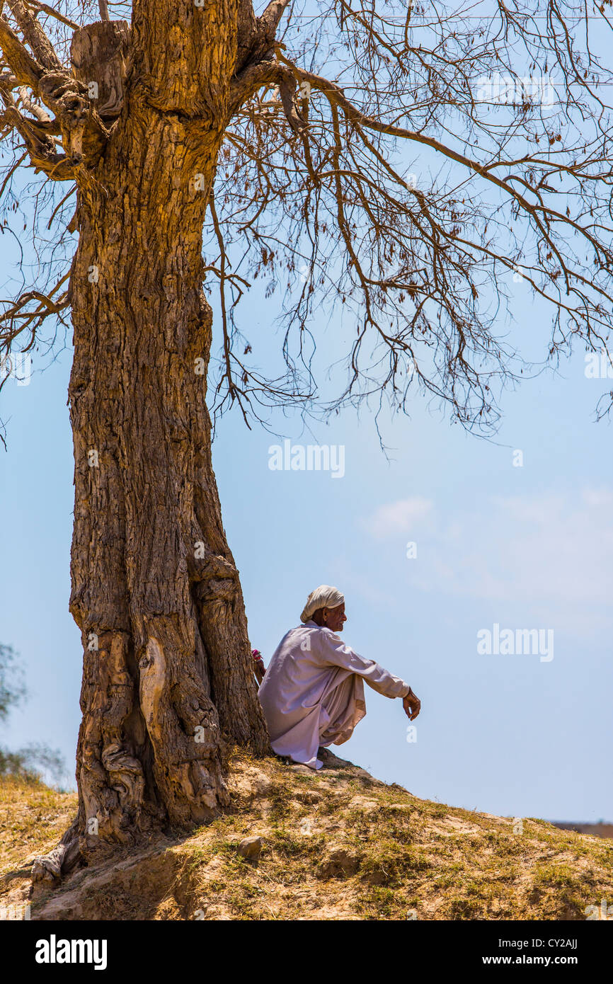 Shepherd, Islamabad, Pakistan Stock Photo - Alamy