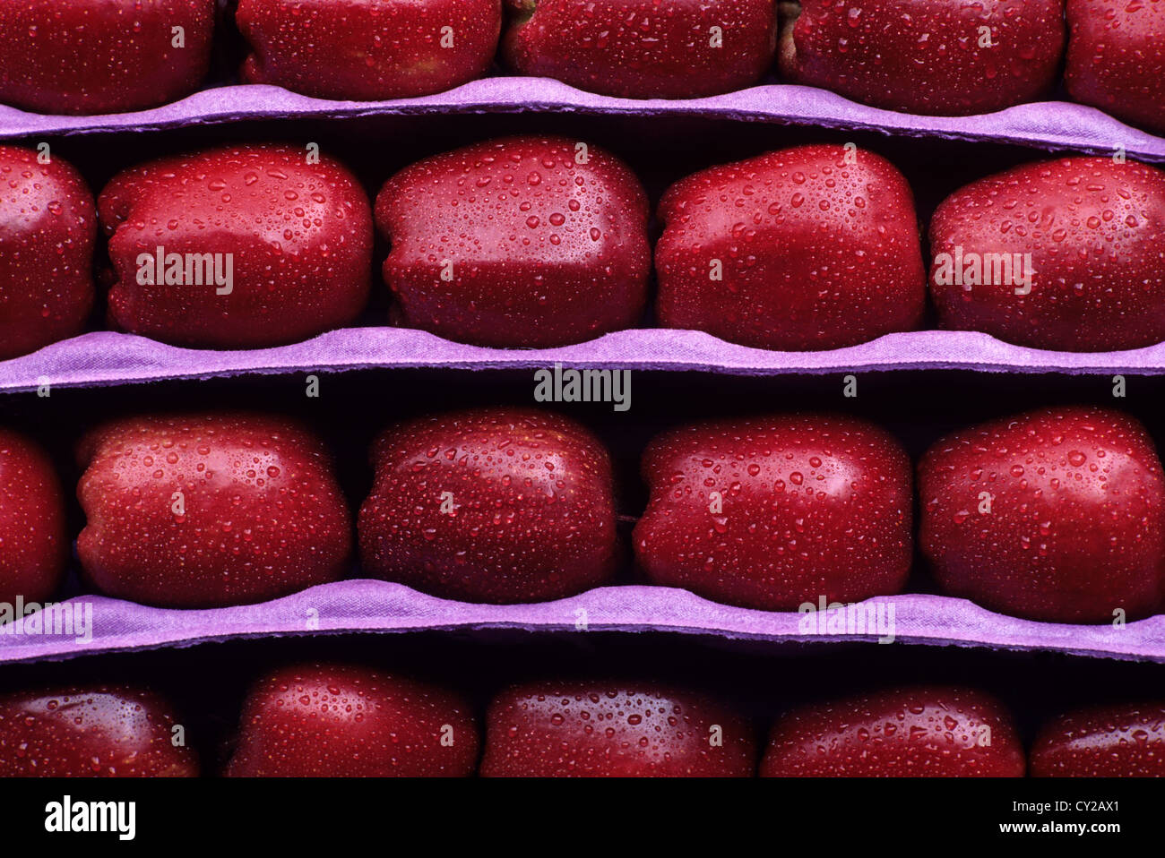 Red delicious apples stacked after harvest with close up of apples in ...