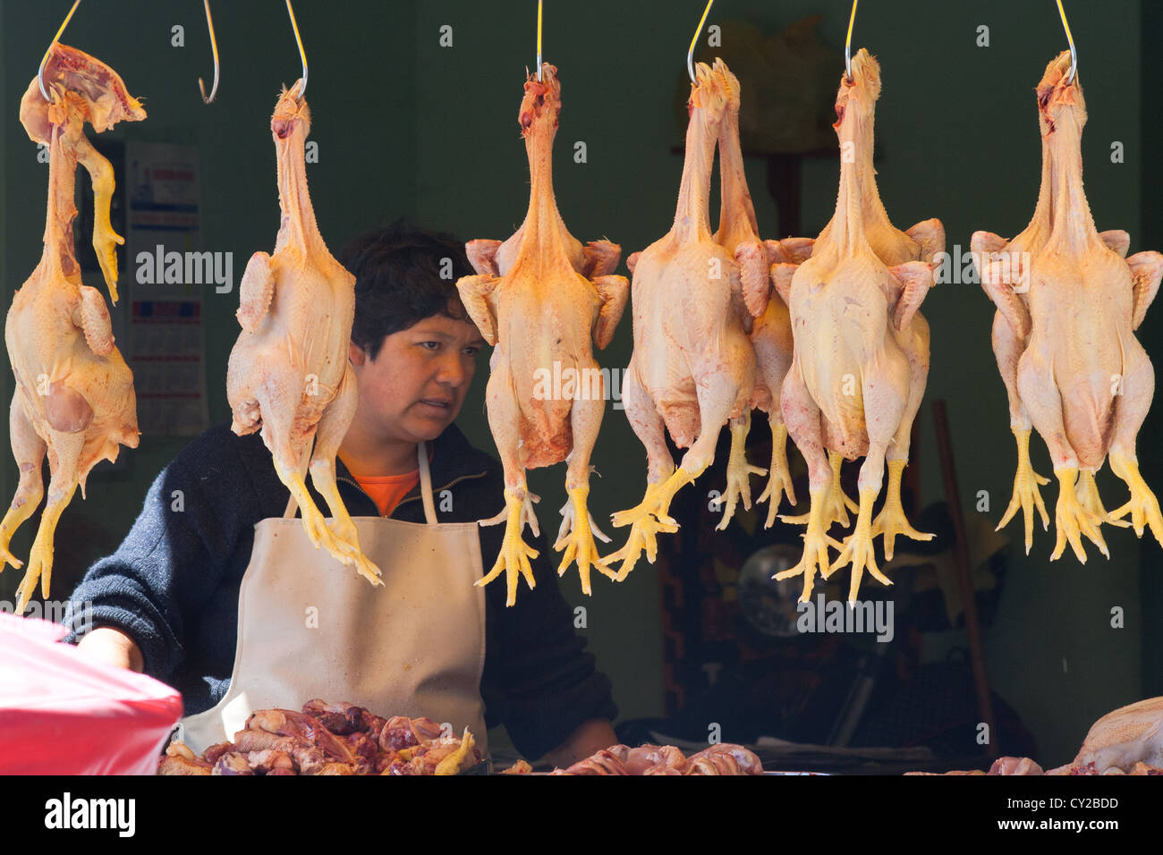 A shop chicken Stock Photo - Alamy