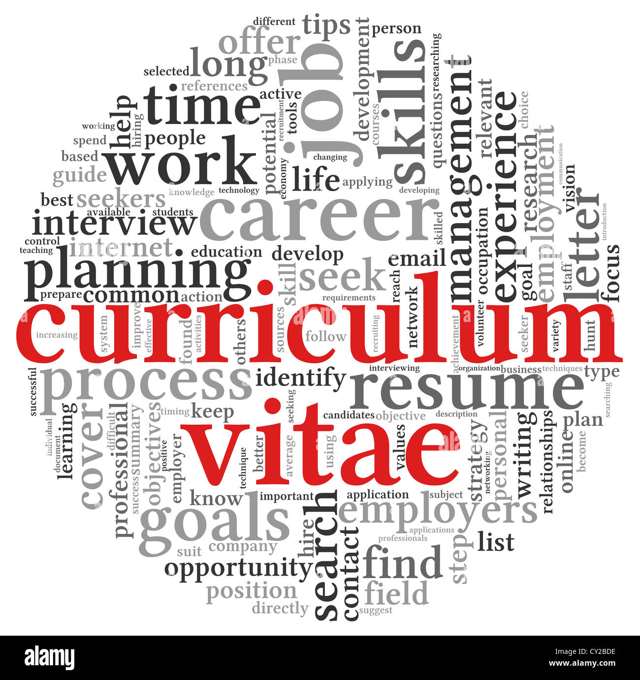 Curriculum vitae CV concept in word tag cloud on white background Stock ...