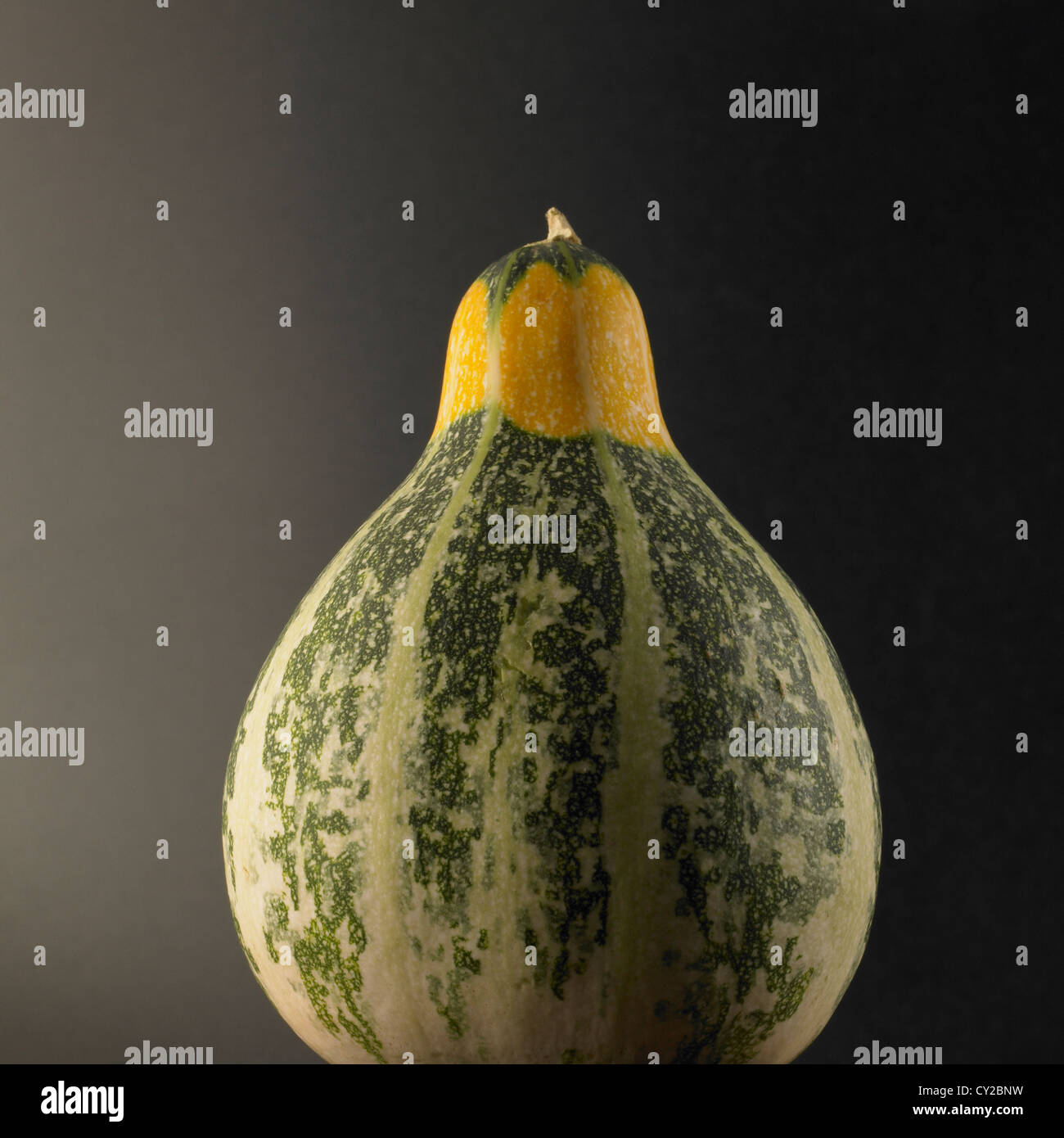 Ornamental gourd on a grey background Stock Photo - Alamy