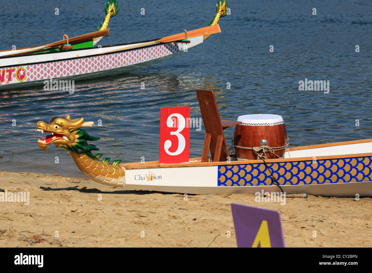 Dragon boat, vessel used in dragon boat racing showing detail of the ...