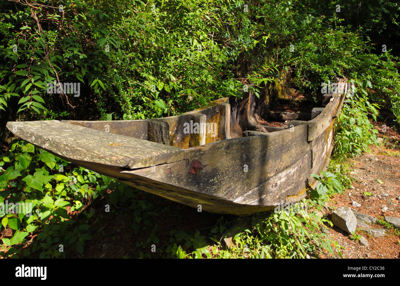Decaying wooden boat Stock Photo - Alamy