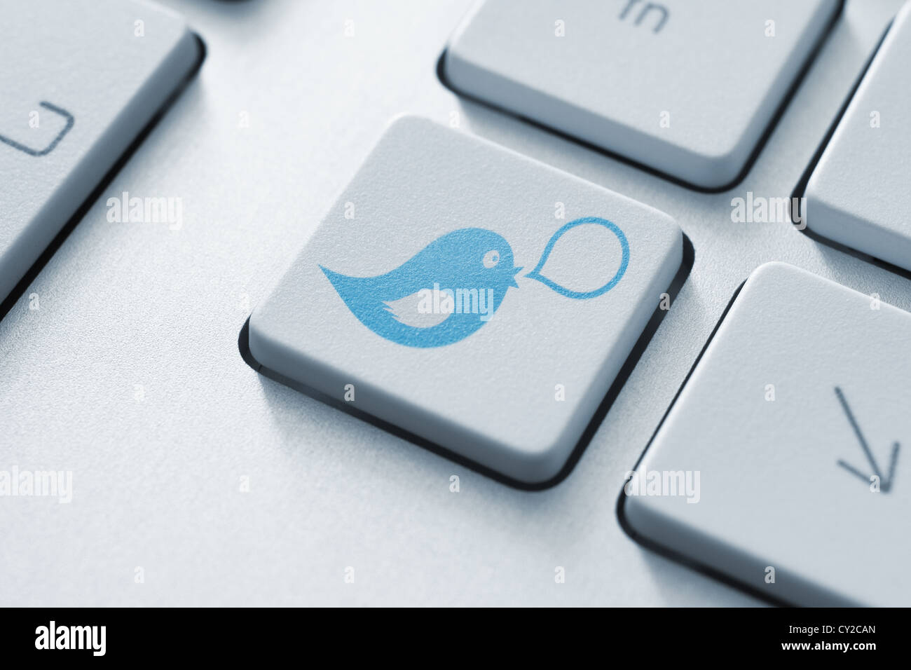Chat bubble button icon concept hi-res stock photography and images - Alamy
