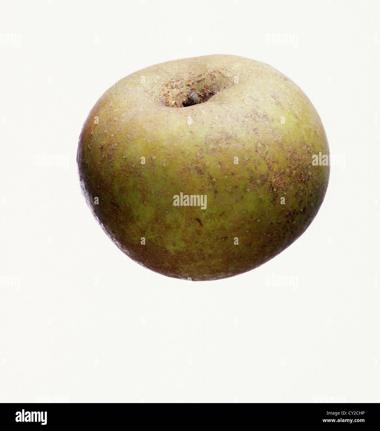 Duke of Devonshire , UK apple Stock Photo - Alamy