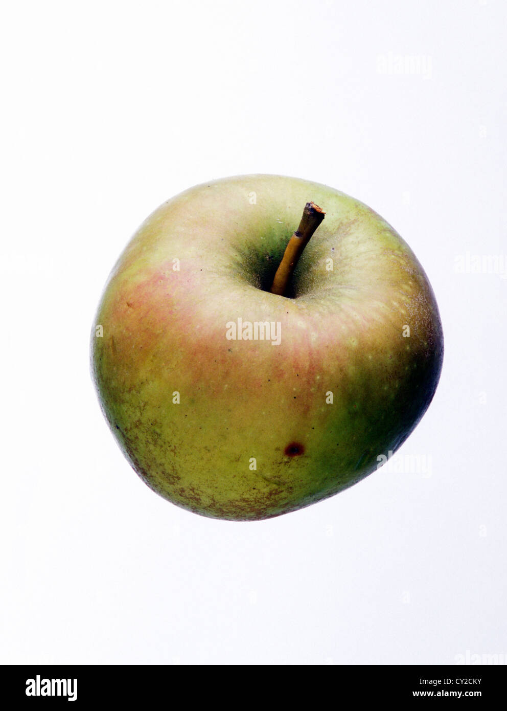 Russett hi-res stock photography and images - Alamy