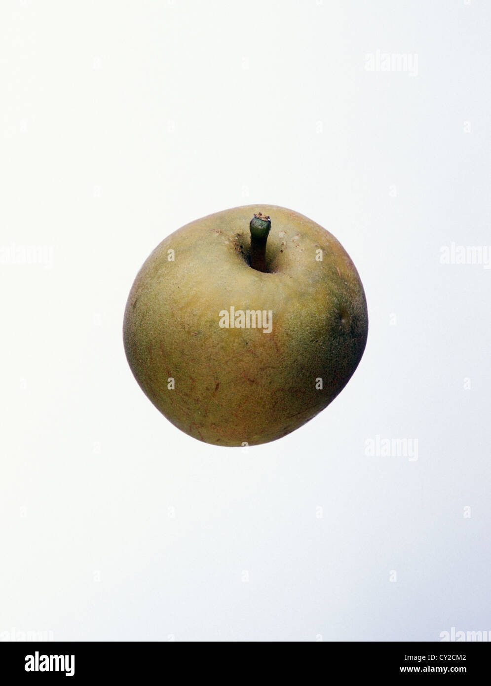 Russett hi-res stock photography and images - Alamy