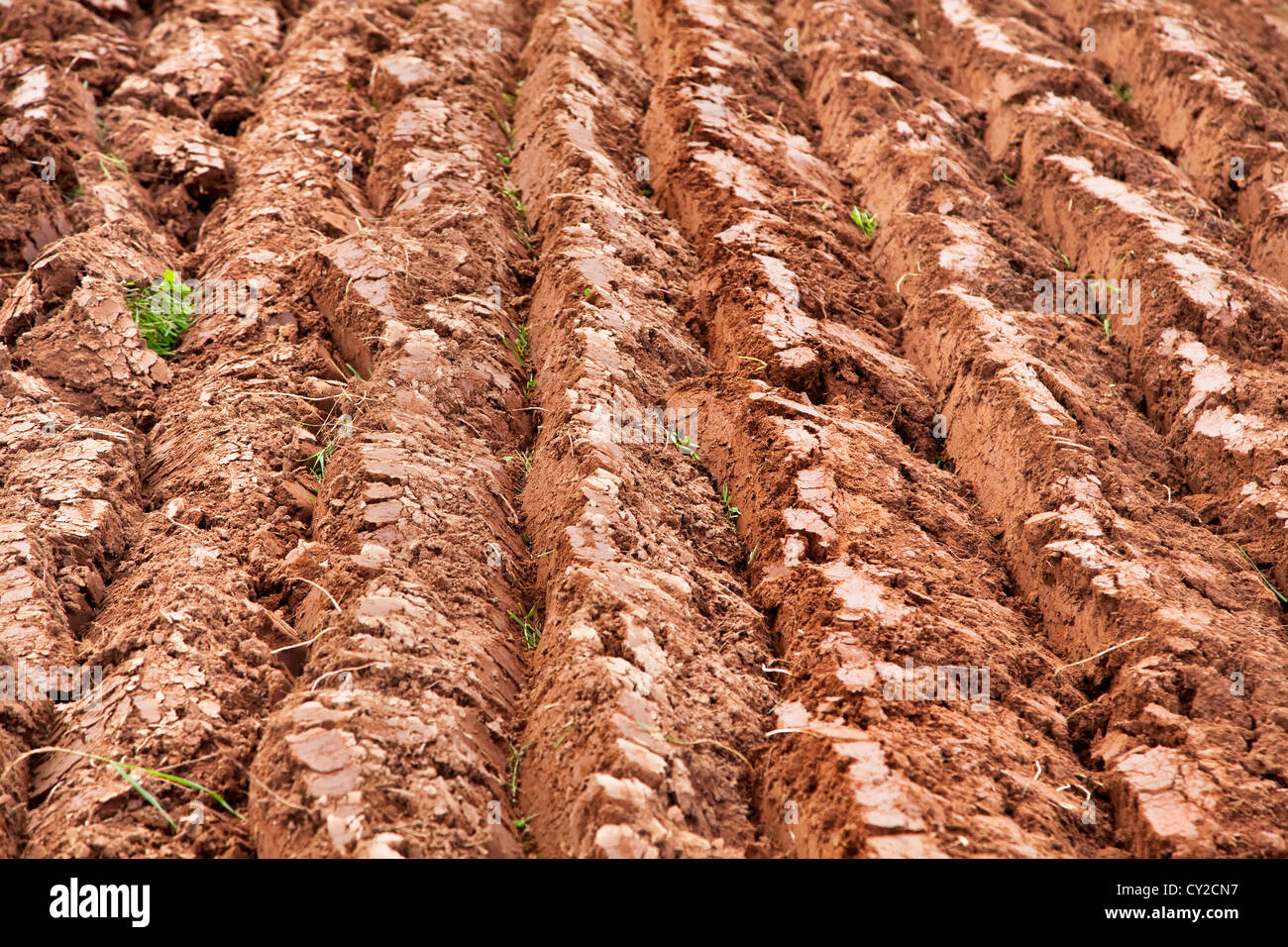 Freshly plowed farmer's field Stock Photo - Alamy