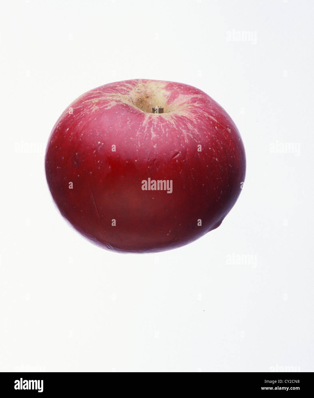 Tydeman’s early worcester hi-res stock photography and images - Alamy