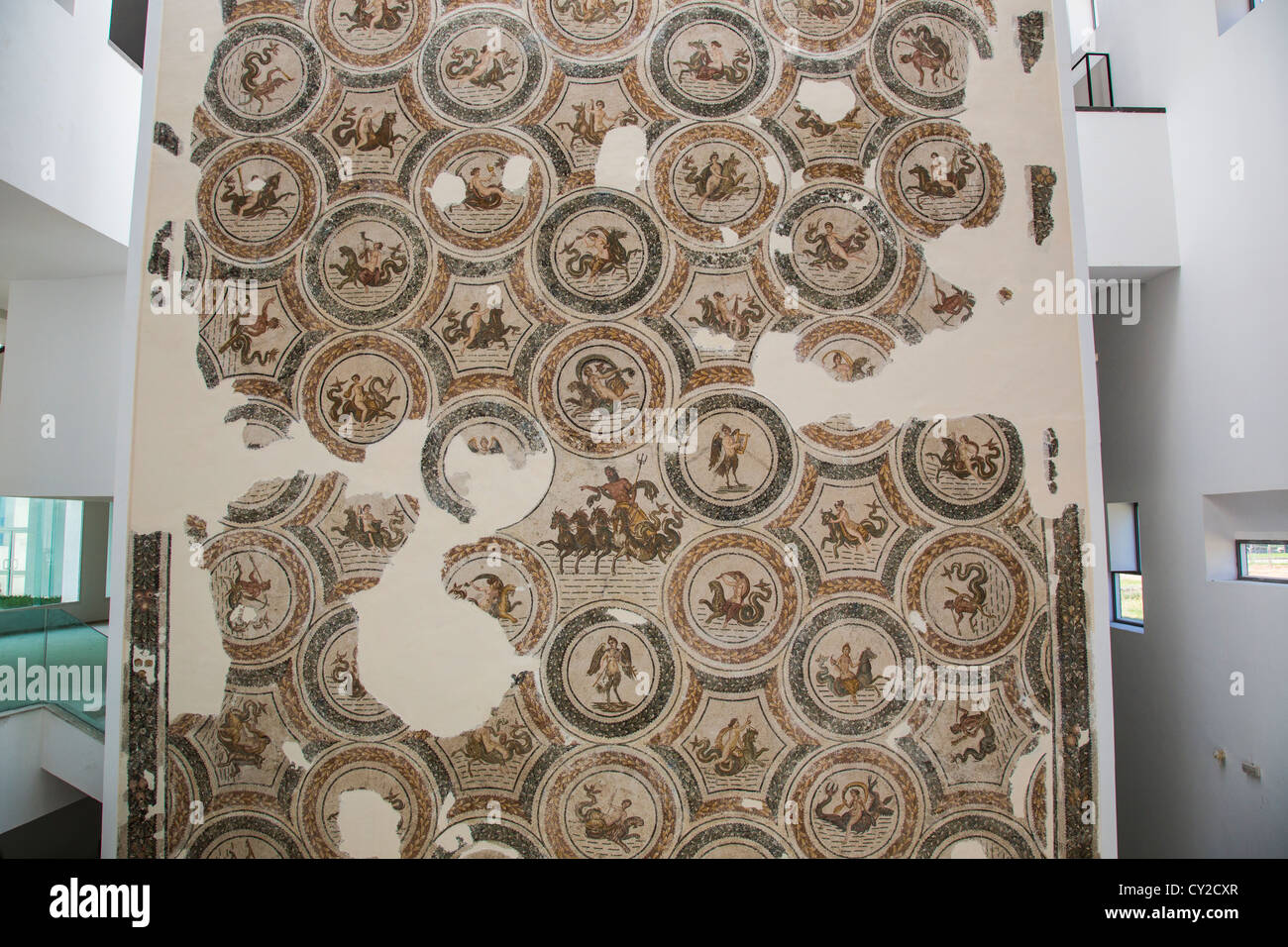 The Triumph of Neptune mosaic in the Bardo Museum in Tunis Tunisia ...