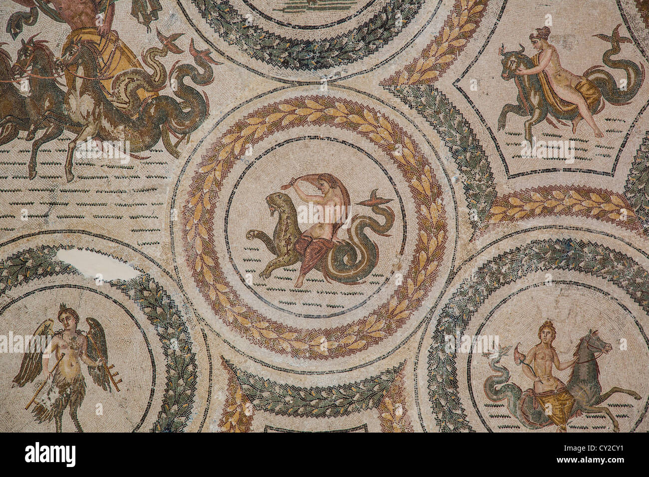 The Triump of Neptune mosaic in the Bardo Museum in Tunis Tunisia Stock ...