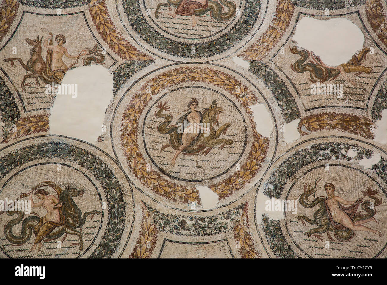 The Triump of Neptune mosaic in the Bardo Museum in Tunis Tunisia Stock ...