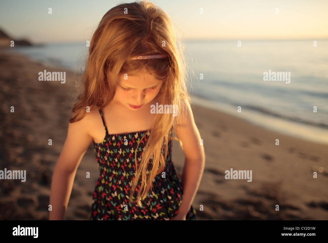5 sea shells hi-res stock photography and images - Alamy