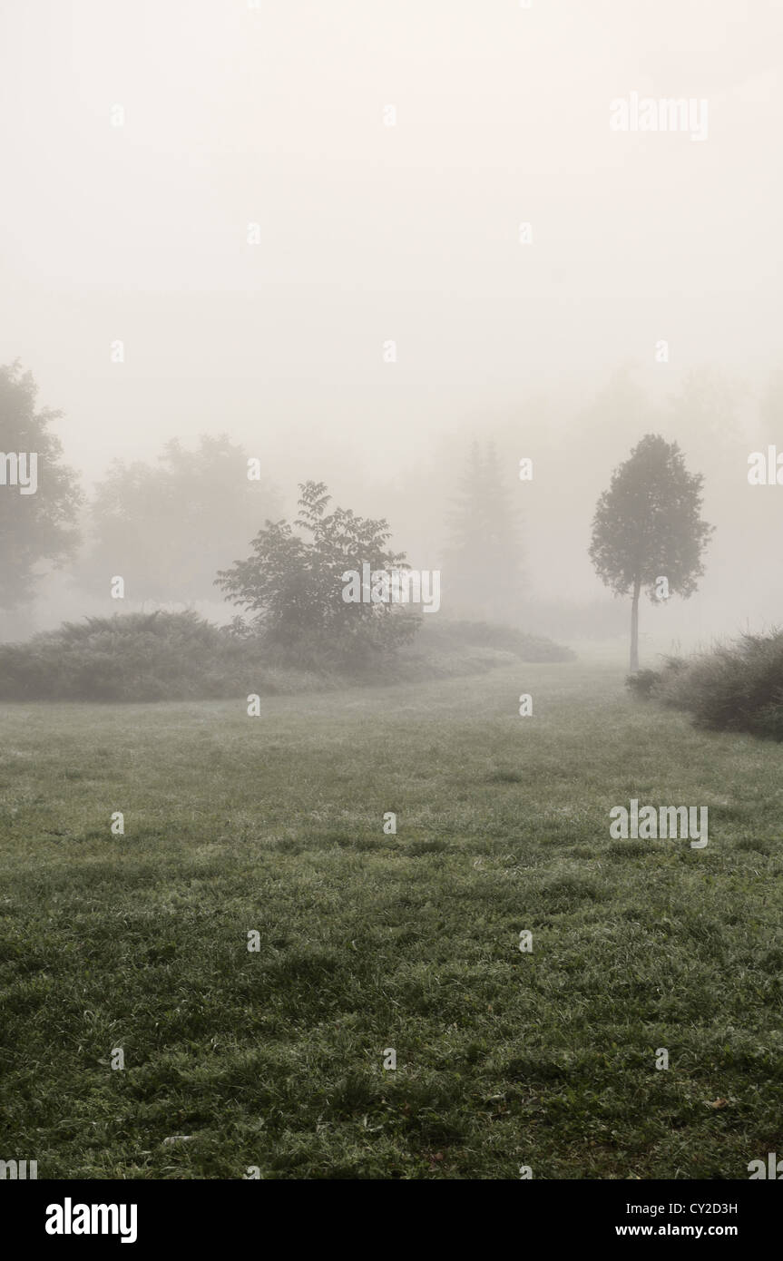 Cold and gloomy weather hi-res stock photography and images - Alamy