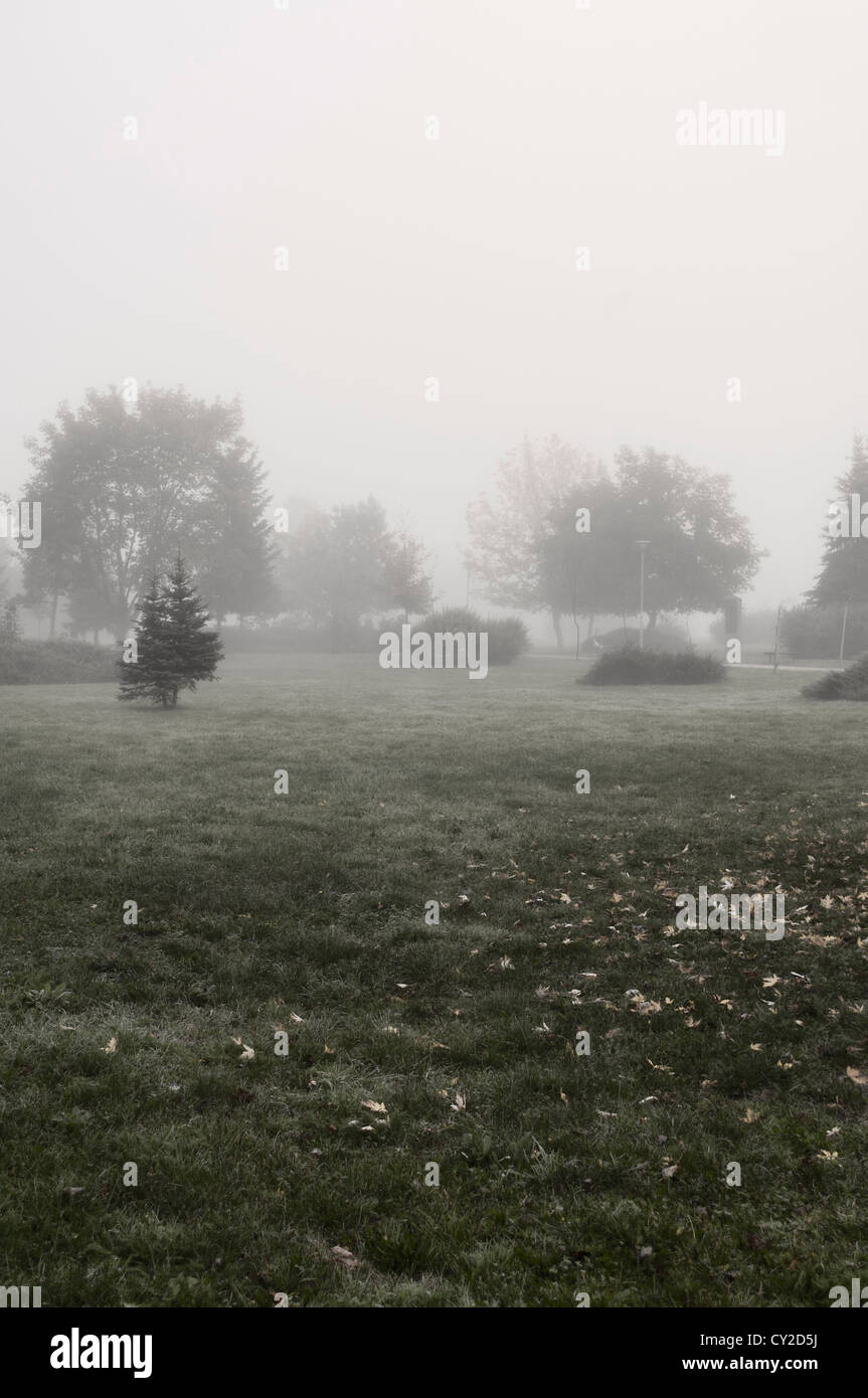 Photography of foggy weather hi-res stock photography and images - Alamy