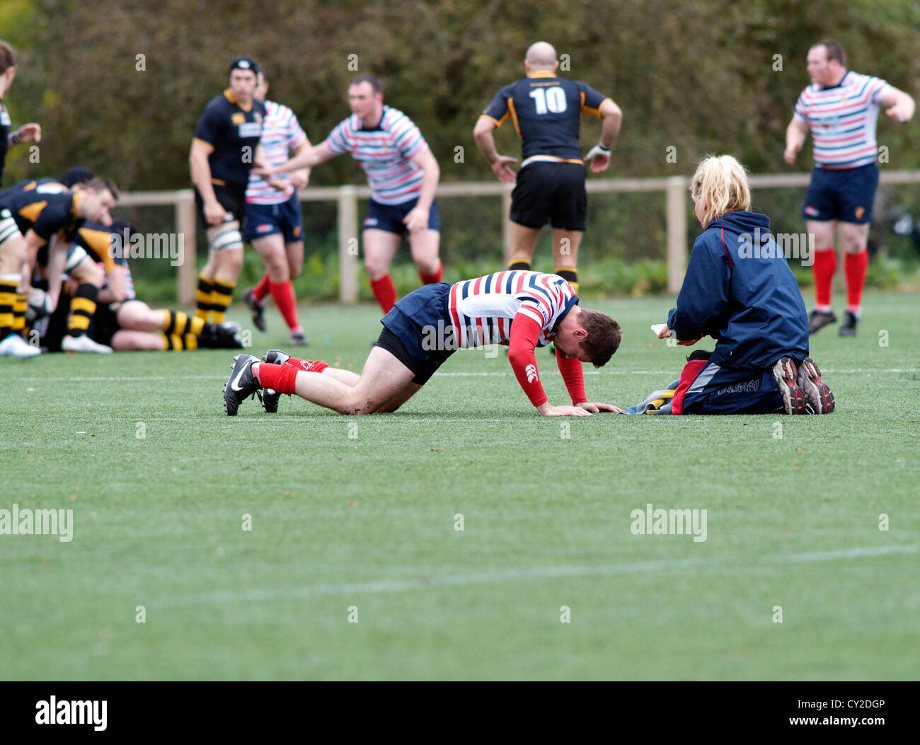 physiotherapist attends to injured rugby player in match between ...