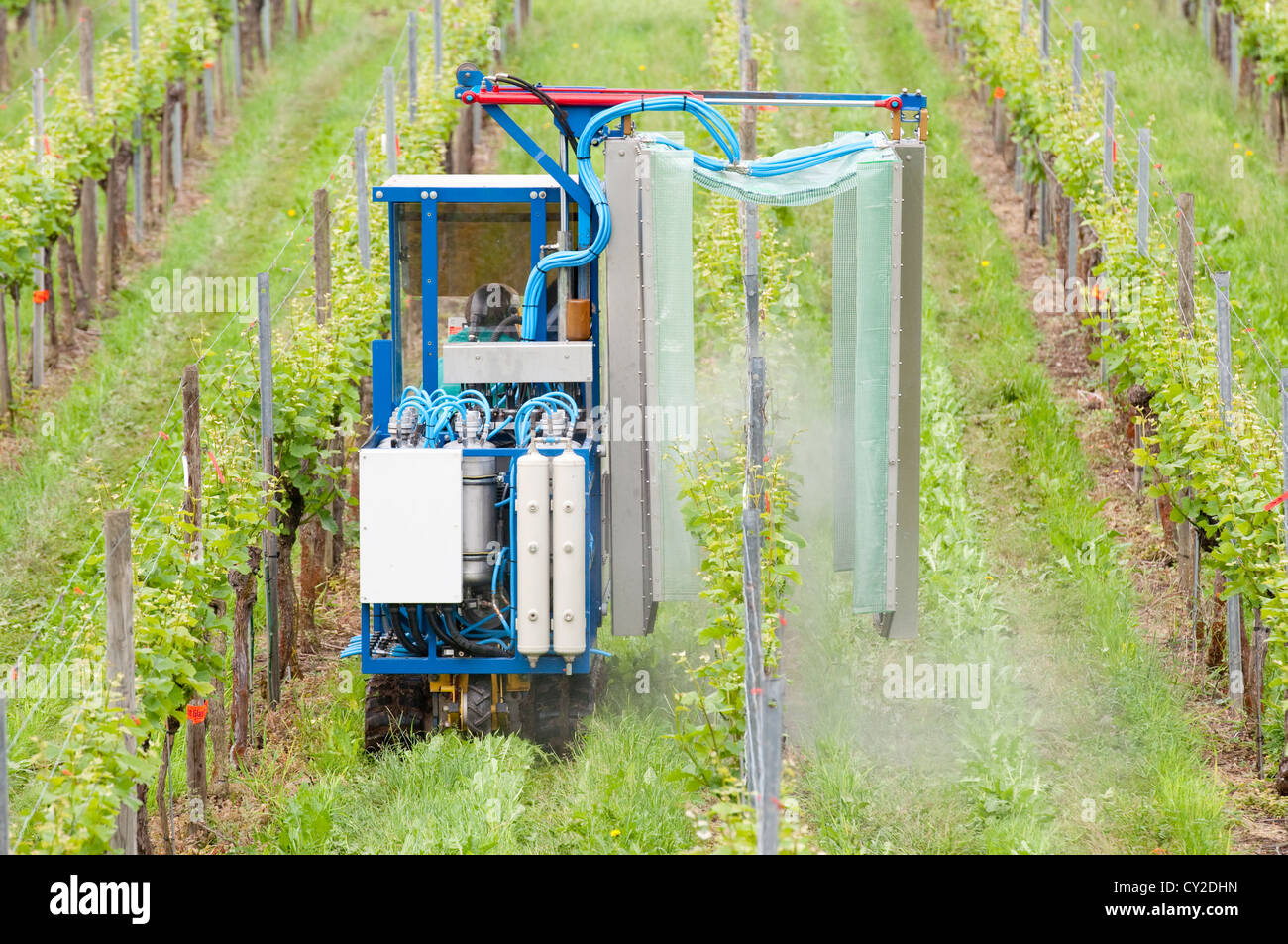 Spraying Grape Vines In The Vineyard With a Special Chain Tractor Stock ...