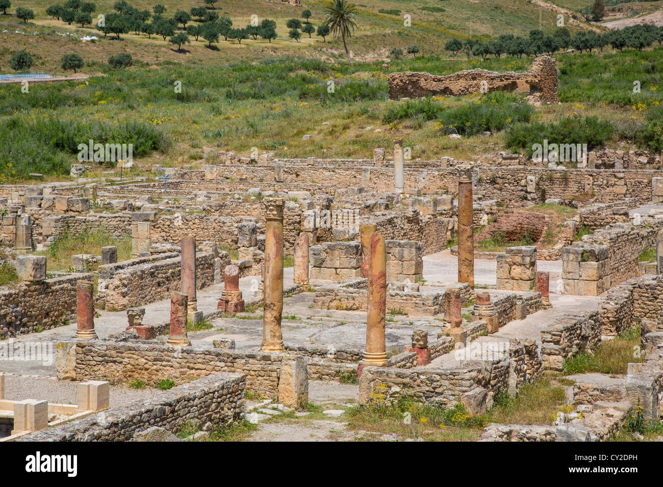 Roman ruins bulla regia near hi-res stock photography and images - Alamy