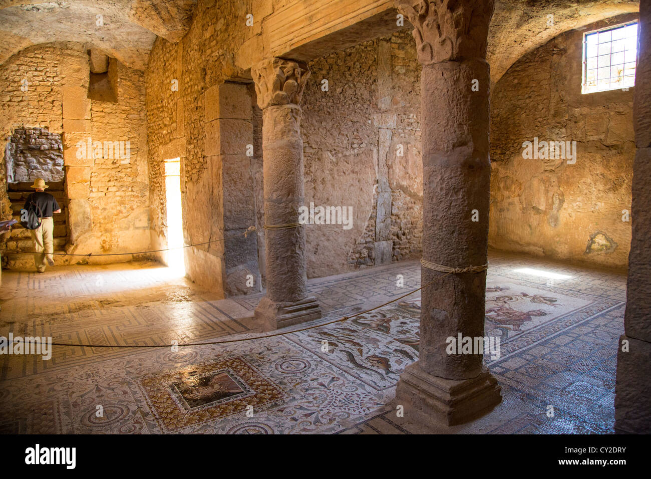 The House of Amphitrite, Roman Ruins of Bulla Regia near Jendouba ...