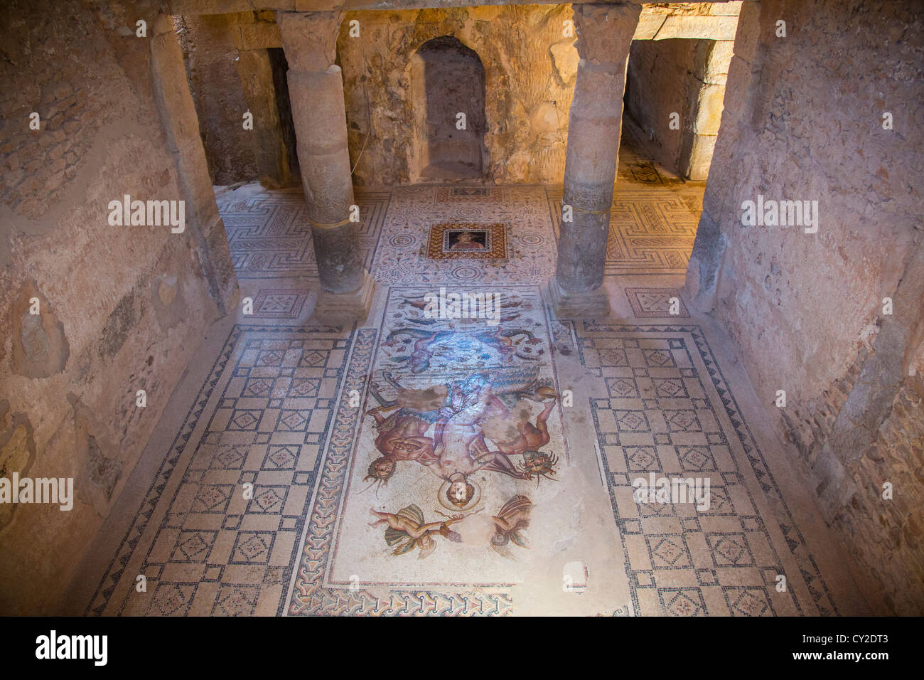 The House of Amphitrite, Roman Ruins of Bulla Regia near Jendouba ...