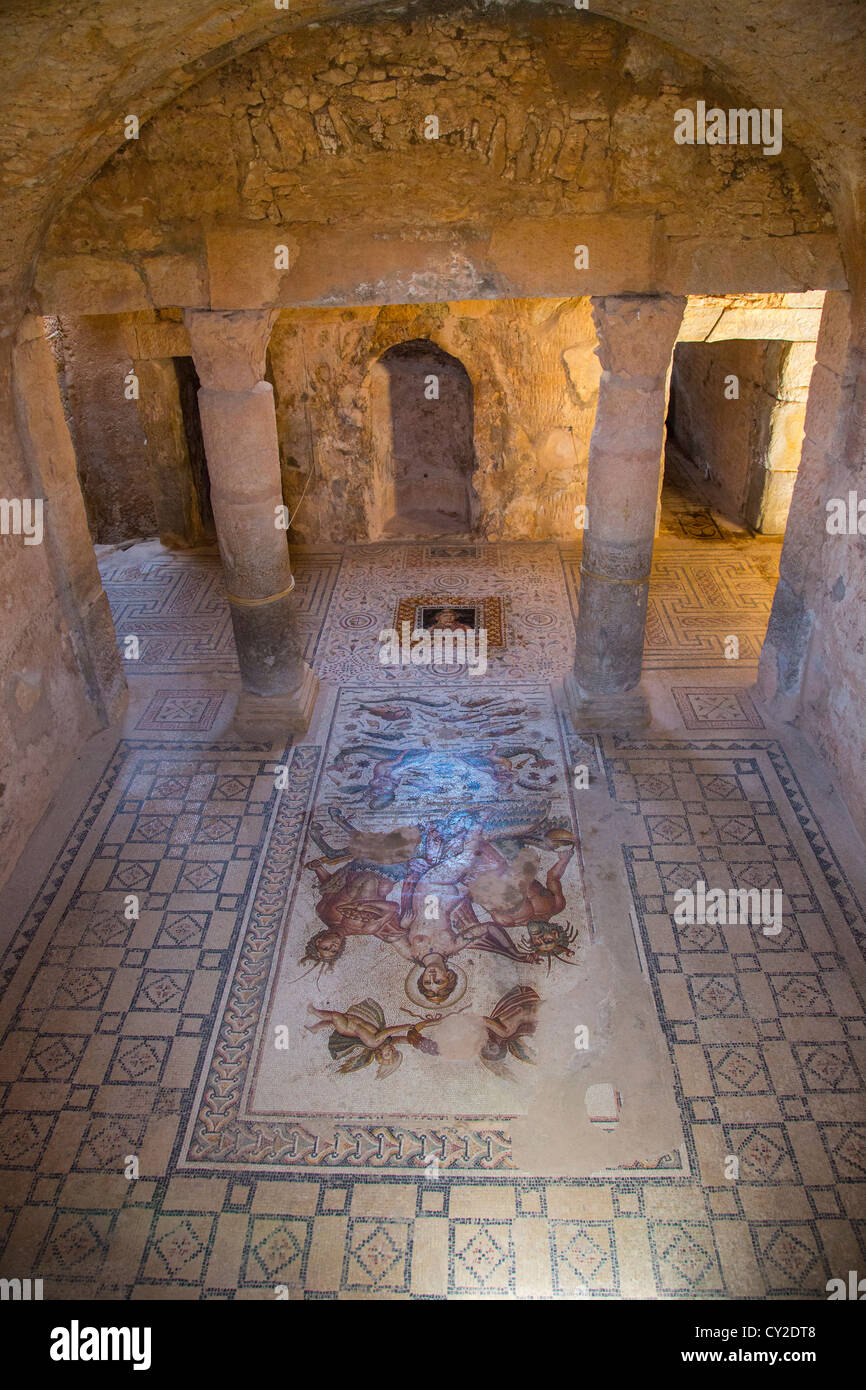 The House of Amphitrite, Roman Ruins of Bulla Regia near Jendouba ...