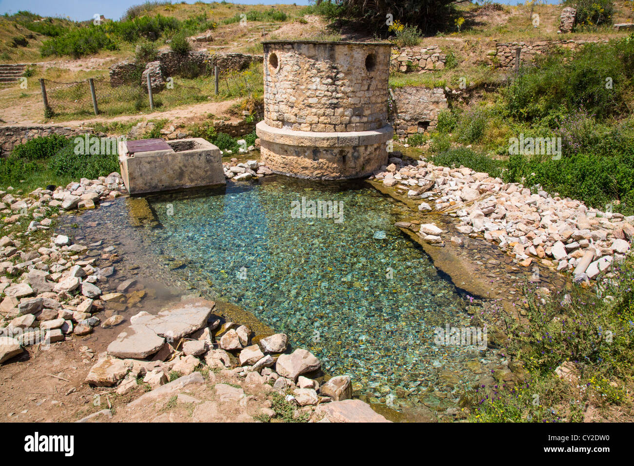 Natural spring at the Roman Ruins of Bulla Regia near Jendouba Tunisia ...