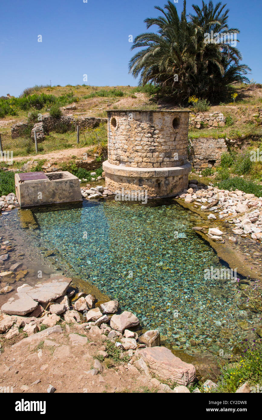 Natural spring at the Roman Ruins of Bulla Regia near Jendouba Tunisia ...