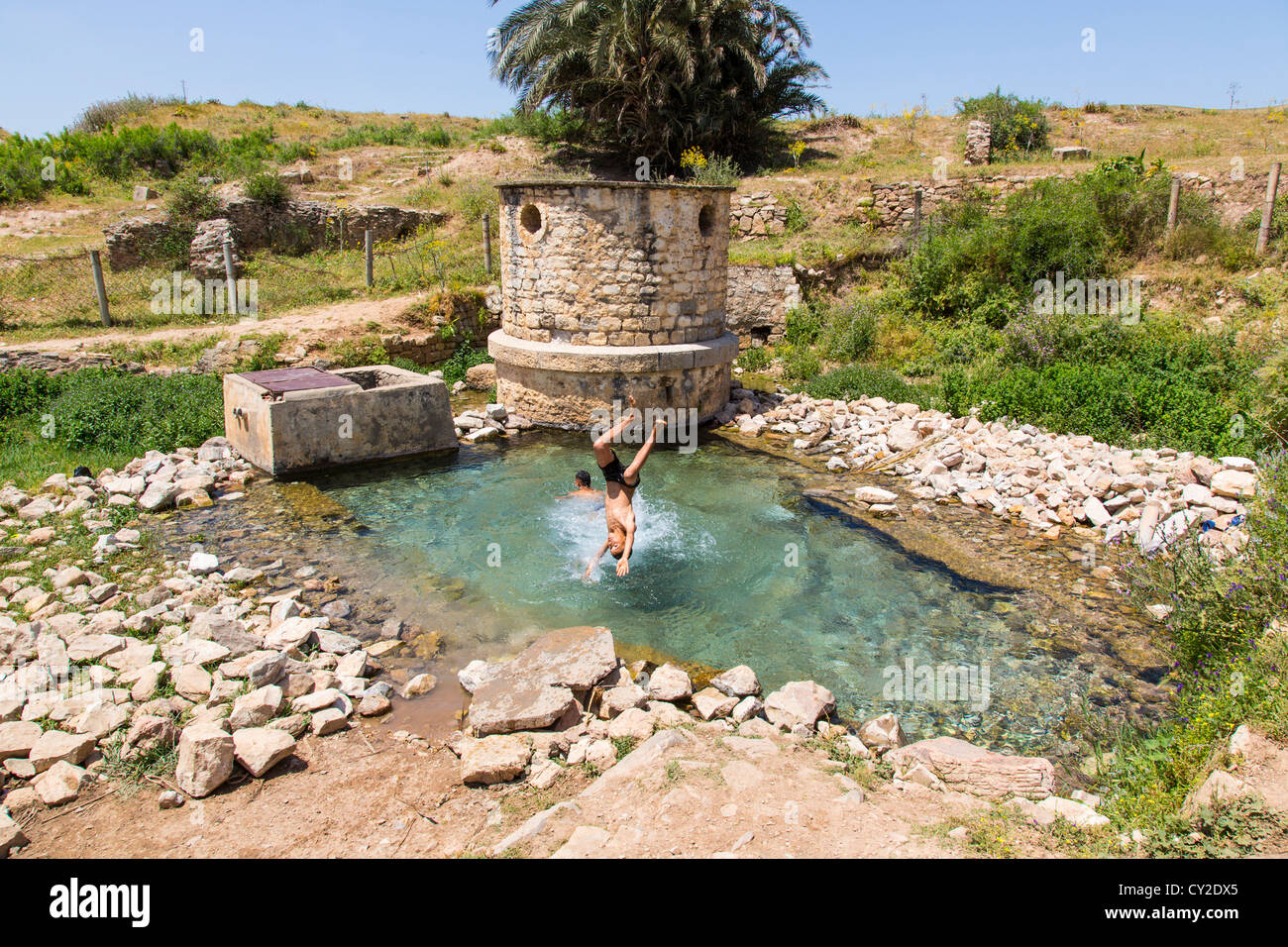 Natural spring at the Roman Ruins of Bulla Regia near Jendouba Tunisia ...