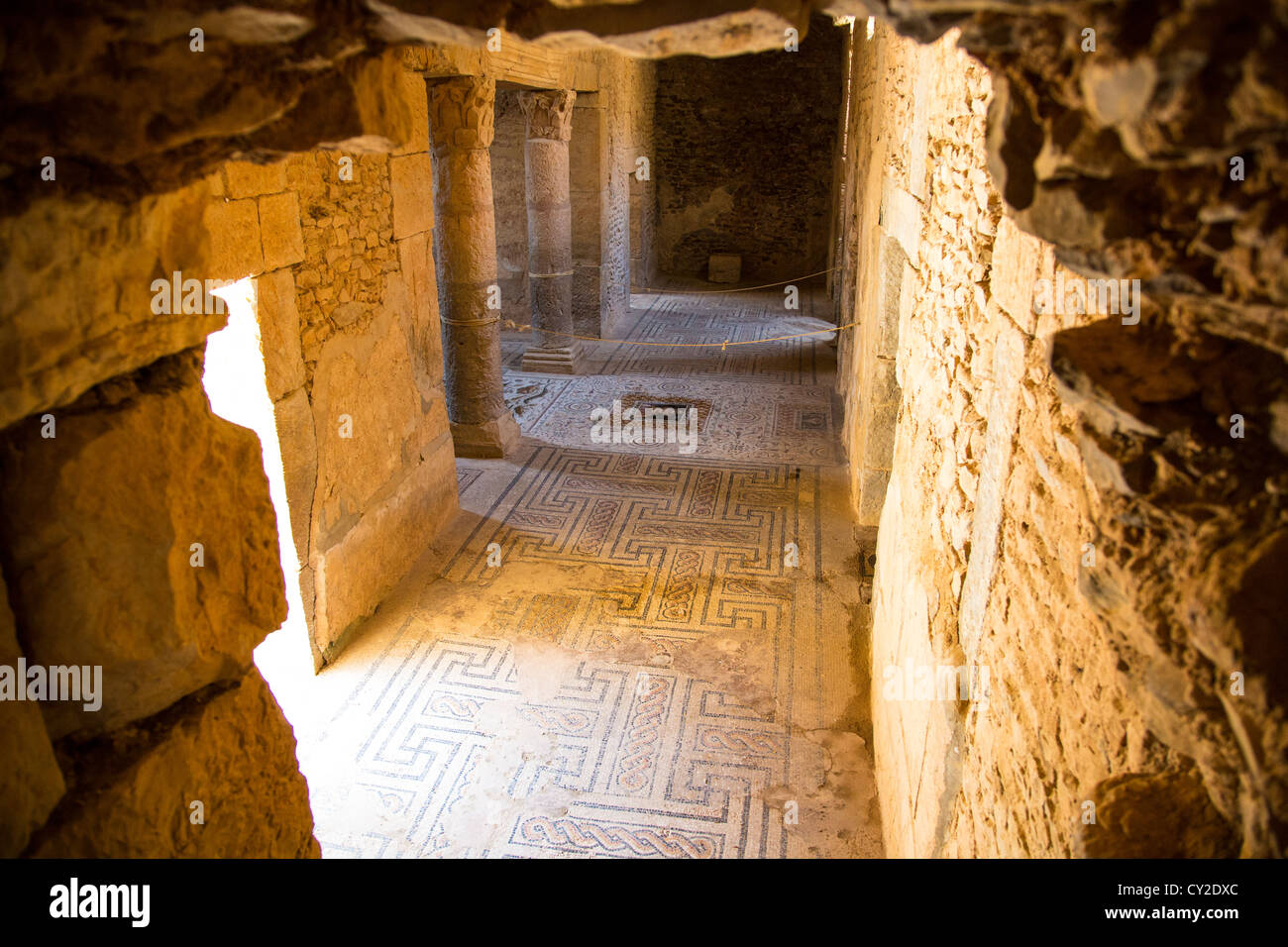 The House of Amphitrite, Roman Ruins of Bulla Regia near Jendouba ...