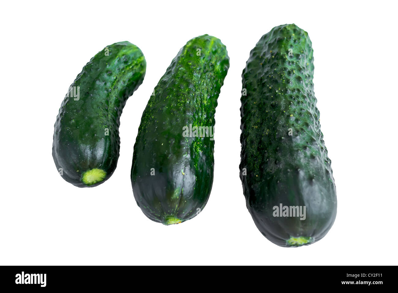 Pimple macro closeup on Cut Out Stock Images & Pictures - Alamy