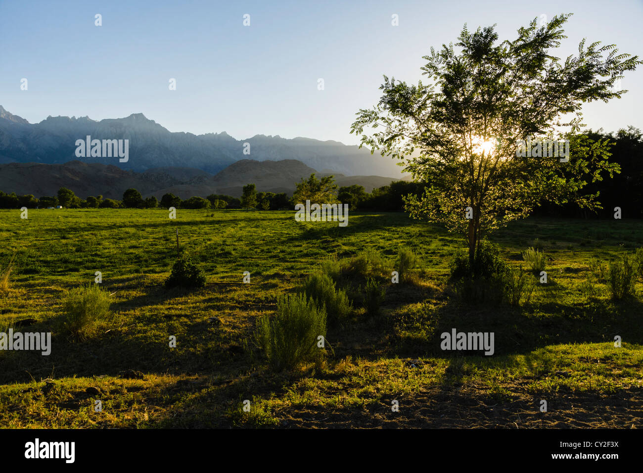 Western range hi-res stock photography and images - Alamy