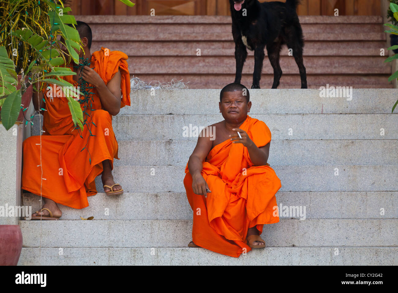 Buddhist Monk in the Temple Wat Ounalom Monastery in Phnom Penh ...