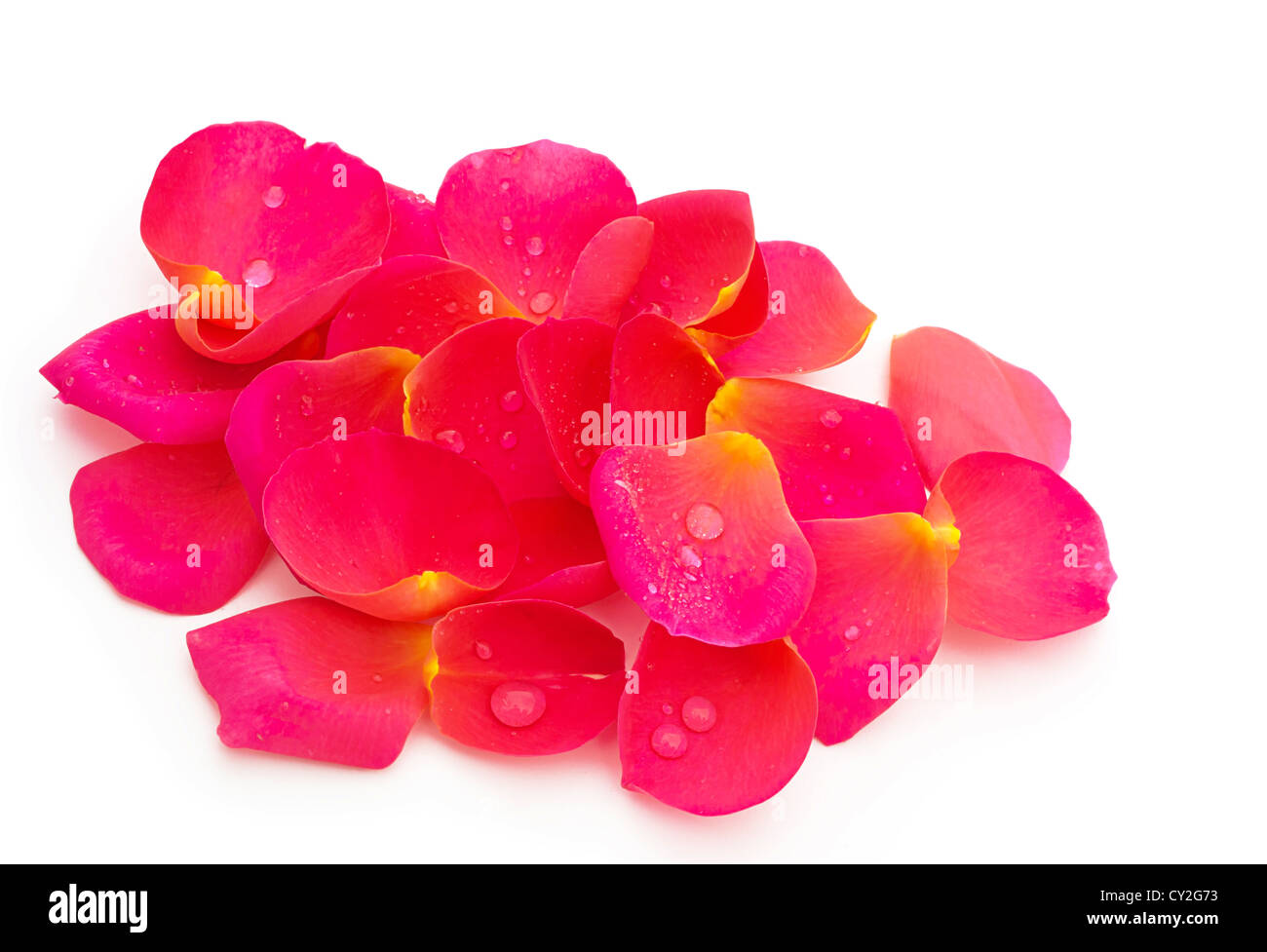 Yellow petals Cut Out Stock Images & Pictures - Alamy